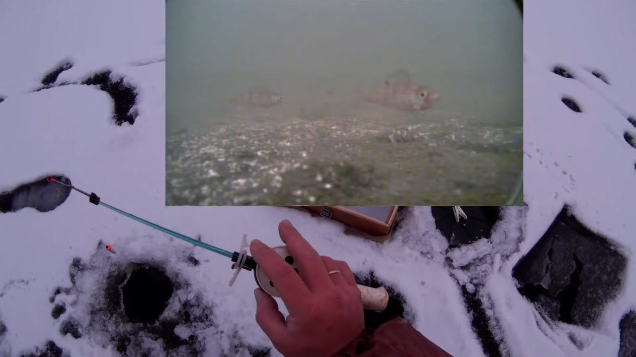 С ПОДВОДНОЙ ВИДЕОКАМЕРОЙ. Первая зимняя рыбалка