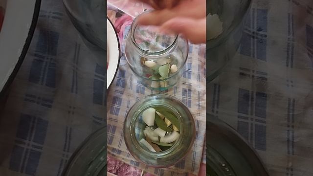 Заготовка томатов - отрывок!