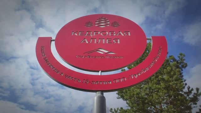 УралБизнесЛизинг: Кедровая аллея