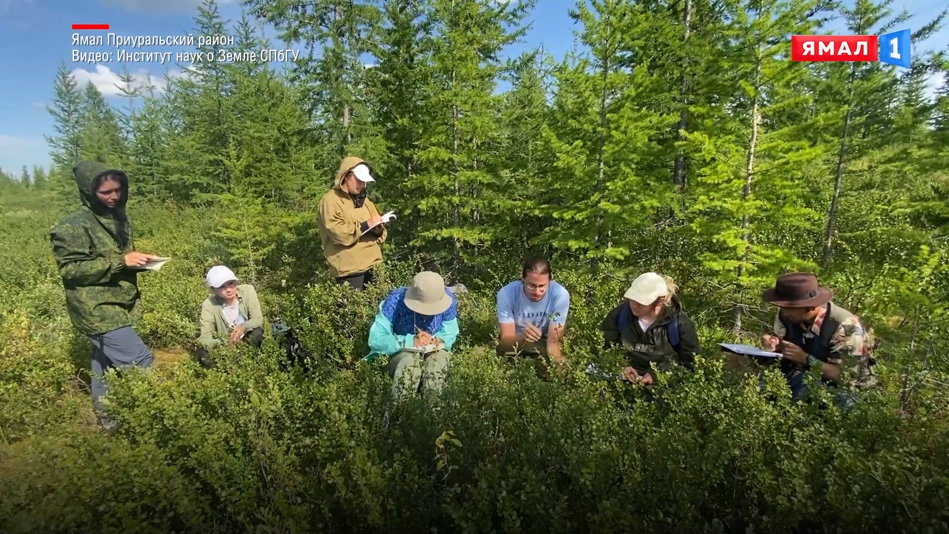 Студенты Санкт-Петербургского государственного университета исследовали ямальскую тундру