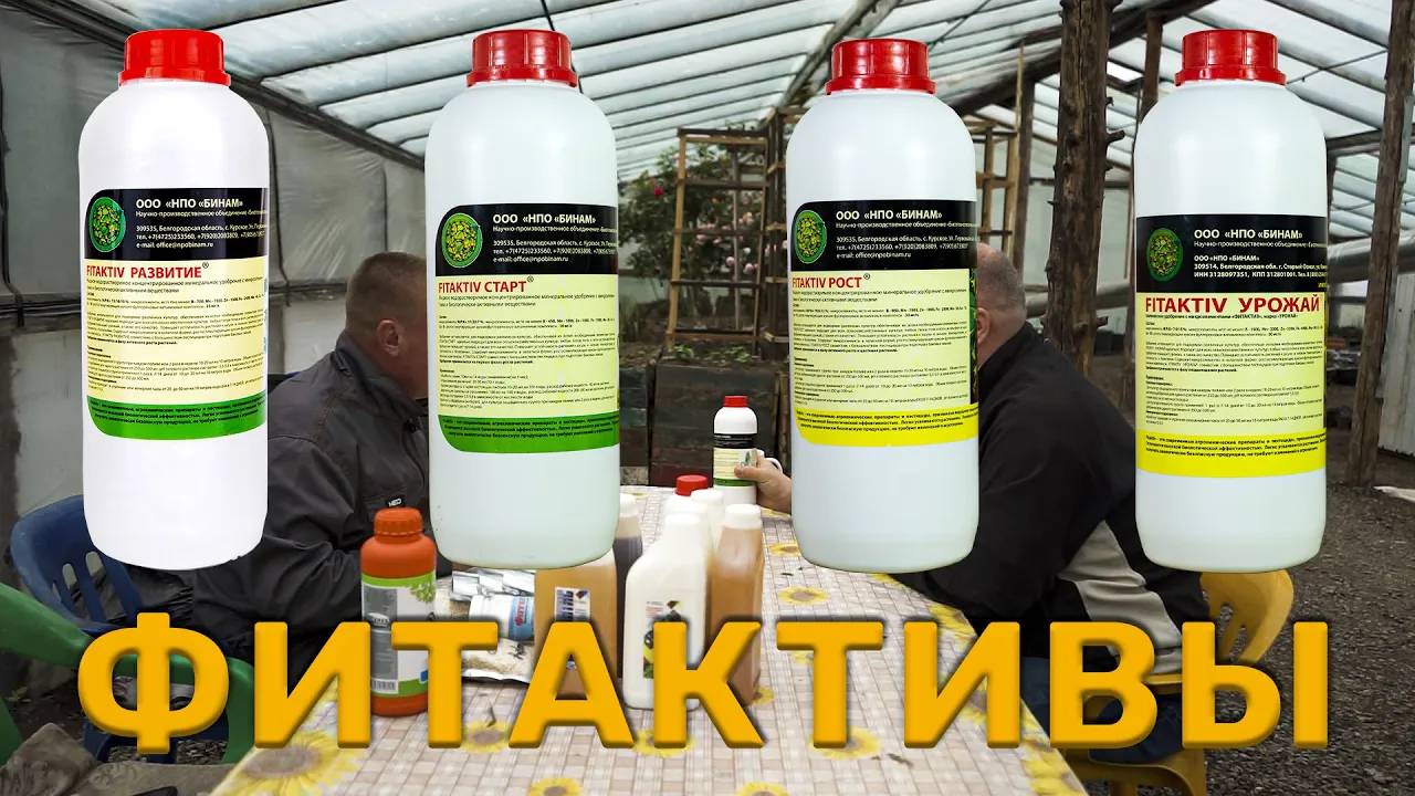Фитактивы для выращивания самой большой тыквы🎃