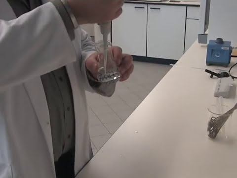 Супер-моп Антибак замедляет рост бактерий на 99,99%