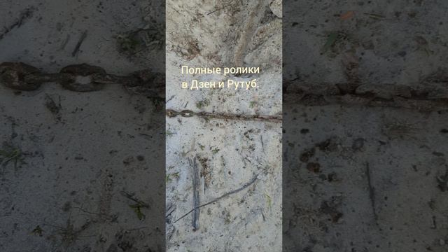 Нашёл цепь,а вдруг там сундук?