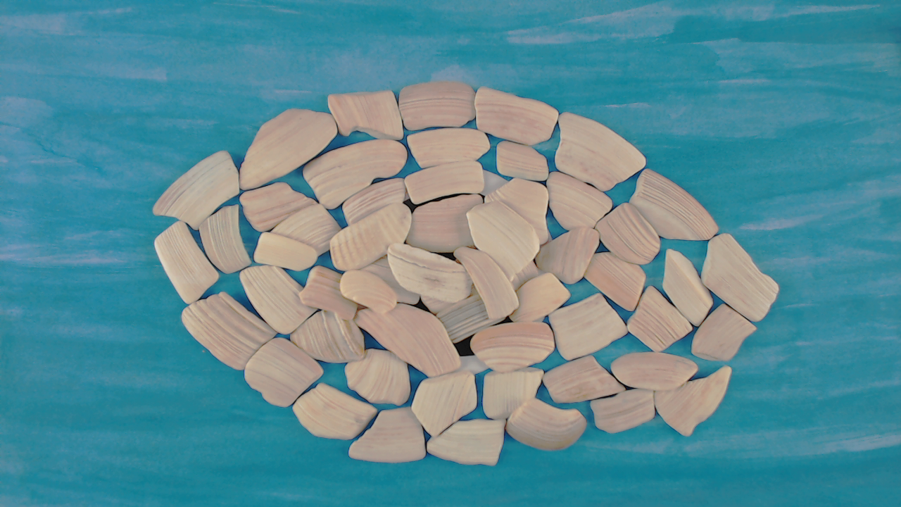 Сюрреалистические ракушки. Анимация из природного материла.