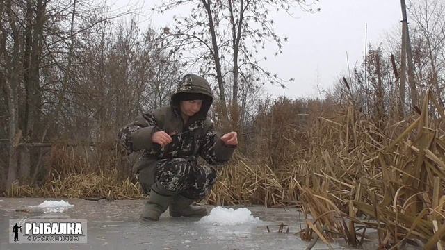 Половил окушка от души. Конец декабря. Затяжная оттепель