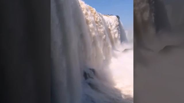 Забей на всё, что скажут о тебе...