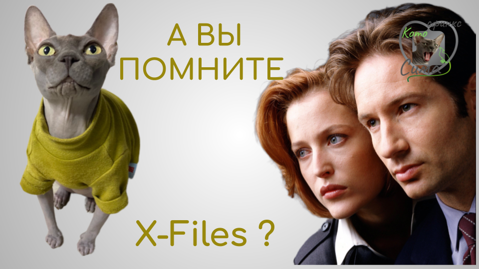 А вы случайно, не меня искали? Помните? Смотрели? The X-Files...