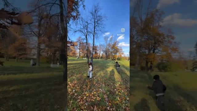 Алиса с братом