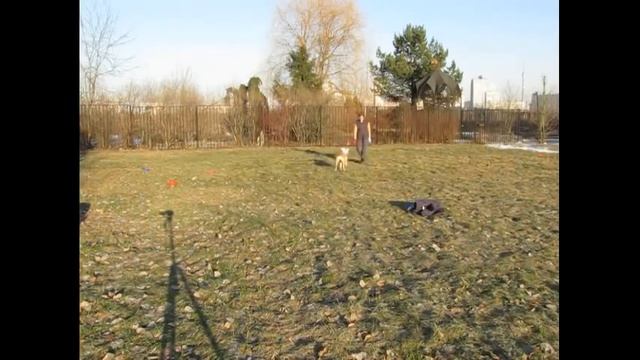 Фризби Вебстайл 2014 Татьяна и АПБТ Соня.mp4