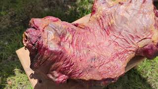 Бобер горячего копчения. Как засолить бобра, как вымачивать бобра