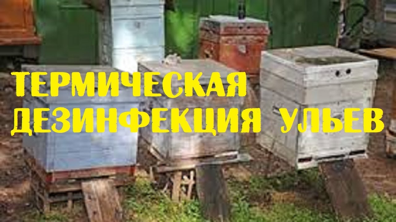 Термическая дезинфекция ульев