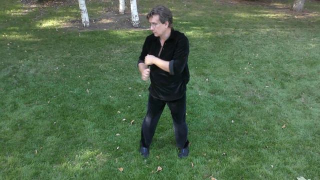 08 Таолу стиля Орлан и барс удары  руками средней дистанции вид сверху