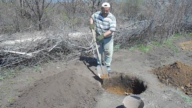 Закладка Виноградника _ 23.04.2019