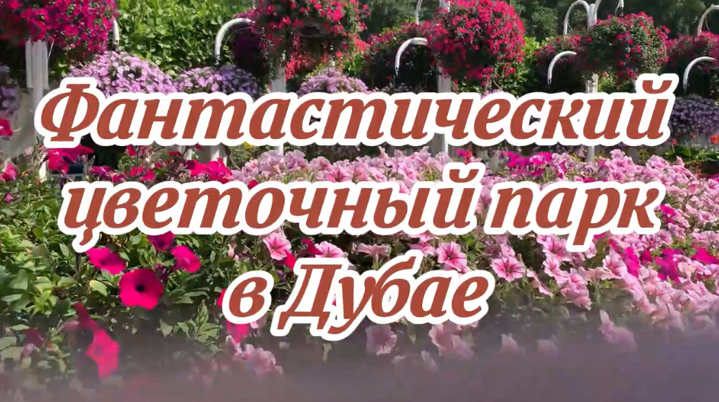 ФАНТАСТИЧЕСКИЙ  ПАРК  РАСЦВЁЛ В ПУСТЫНЕ