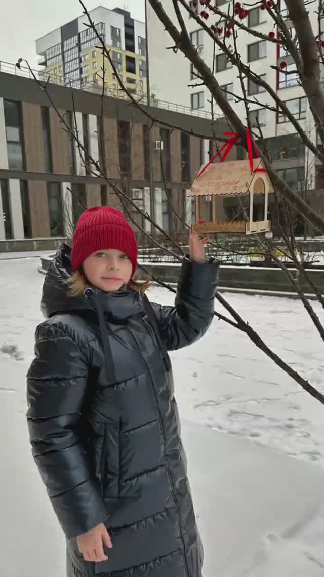 Кормушка для птиц  #дети #поделки #весело #развивашки  #арт  #игры  #смешно #красота #творчество