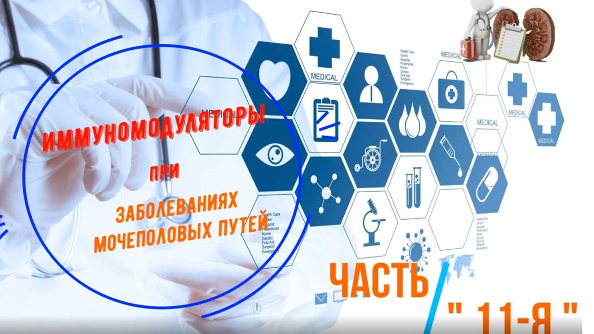 Иммуномодуляторы (МПС часть 11)