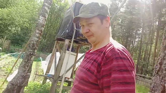 Это заменит навоз урожай девать некуда