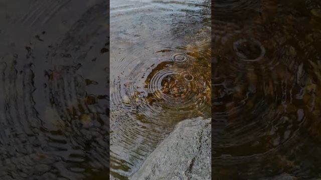 Капли дождя 2.0