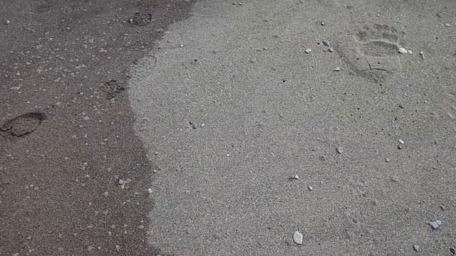 12. Медведи Нерпы острова Итуруп Сопочное озеро