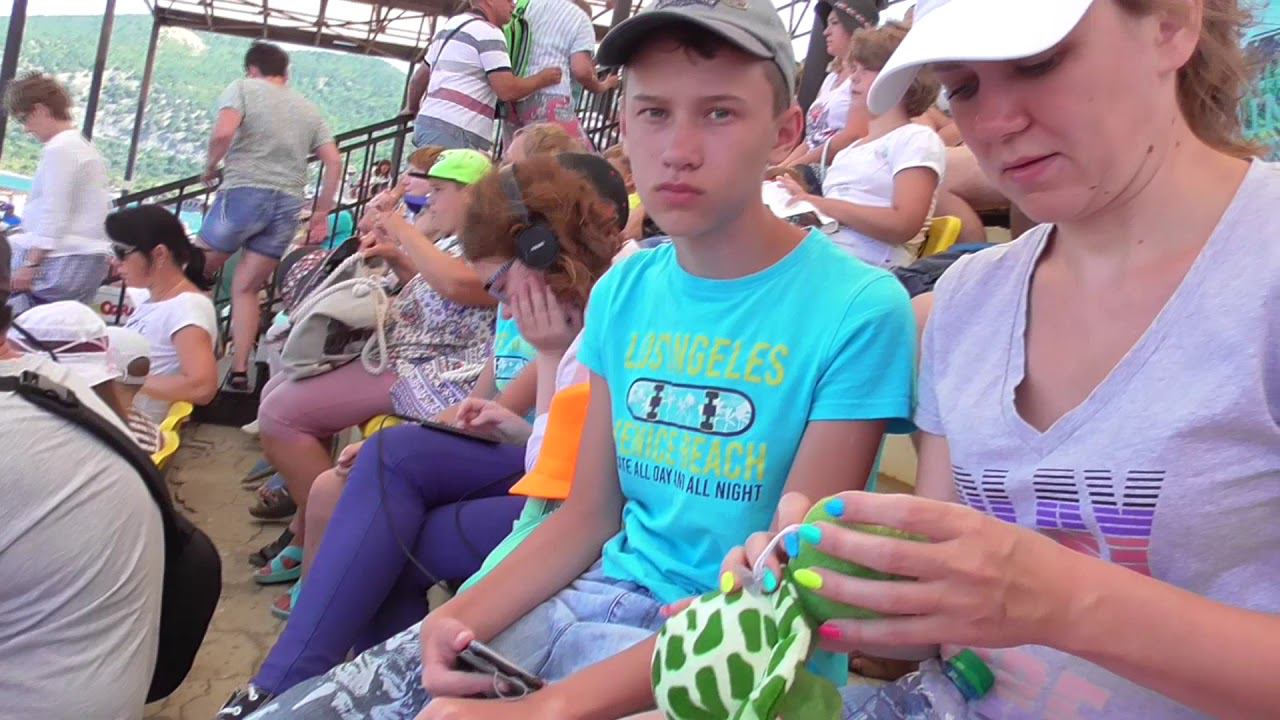 Дельфинарий Большой Утриш 2018