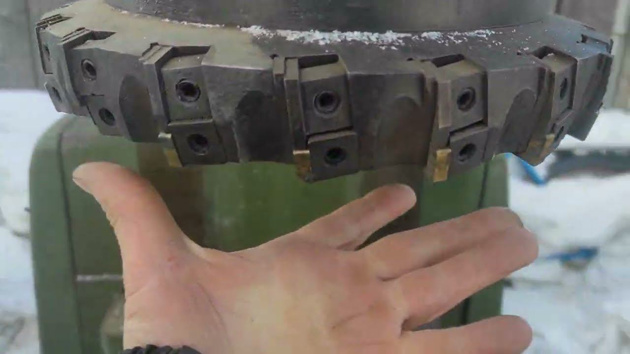 Привез себе очередного помощника