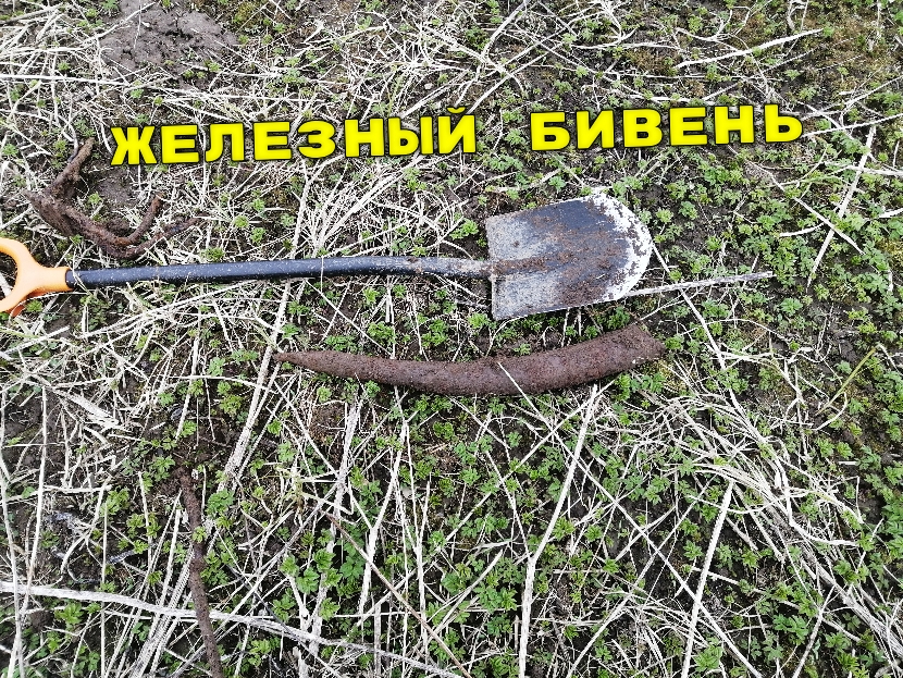 Металлокоп xp deus, нашёл бивень железного мамонта..mp4