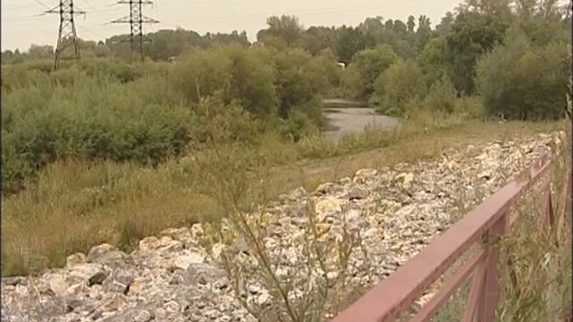 Экологический дневник (2).mp4