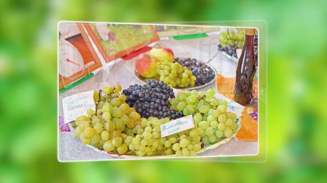 Клуб "Виноградари Кузбасса"