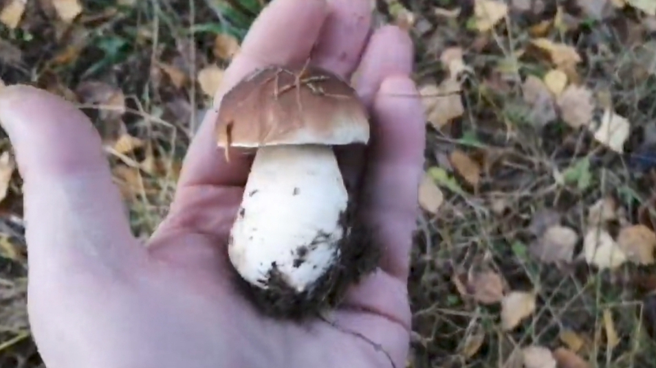 До следующего лета?🤔