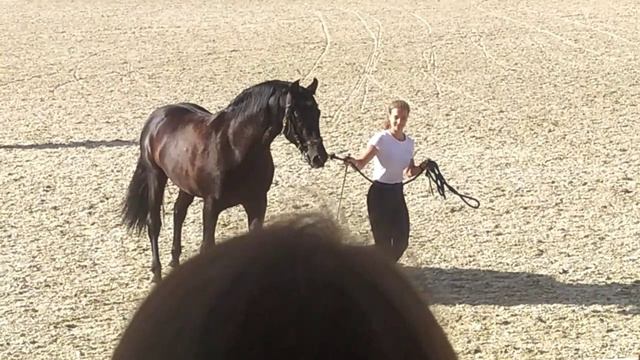 Парад пород - выпуск 5