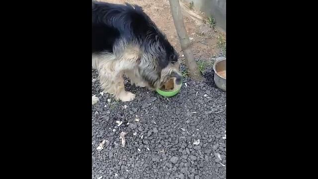 КОМЕДИЯ РОК Друзья)))