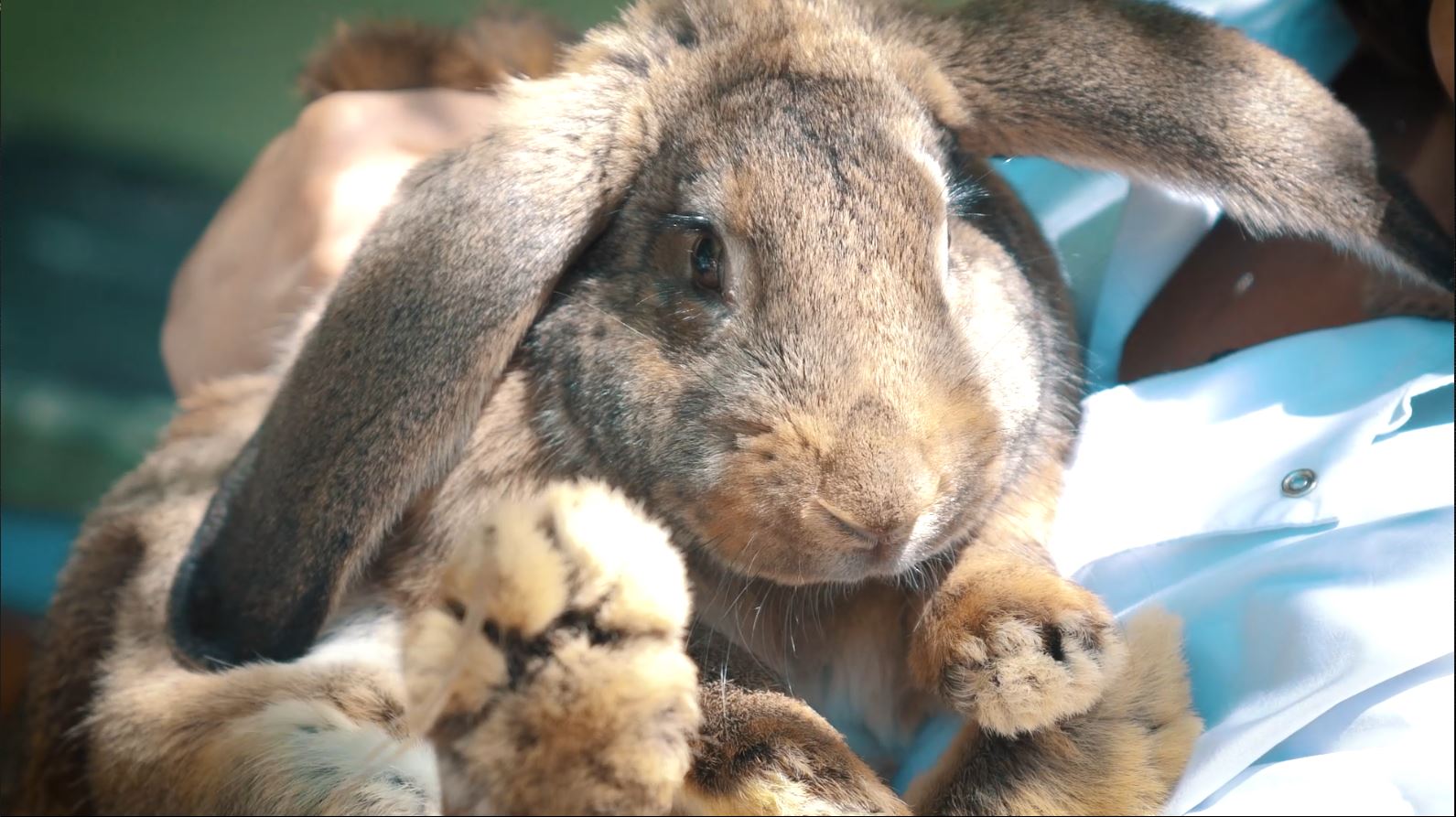 Факультет биотехнологий и рыбного хозяйства