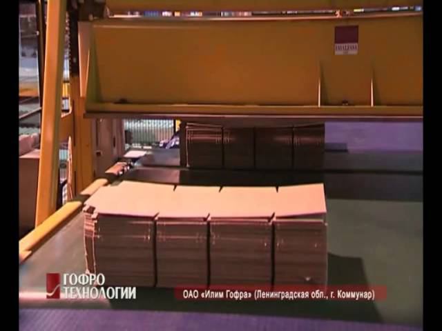 Спецпроект TCY & Favalessa