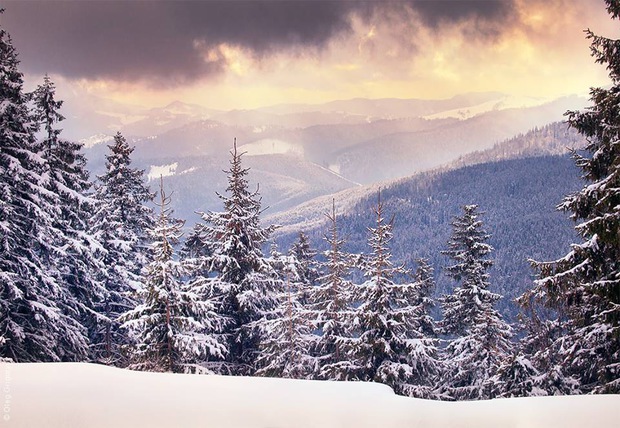 ski