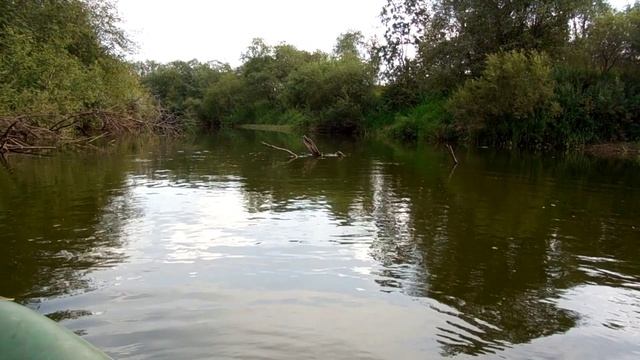 Сплавная рыбалка по малым рекам, Кумёнка и Быстрица