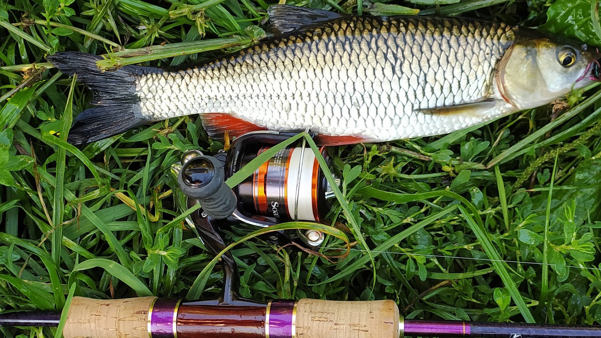 ДЕСНА. Тараканинг, вечер 5 сентября