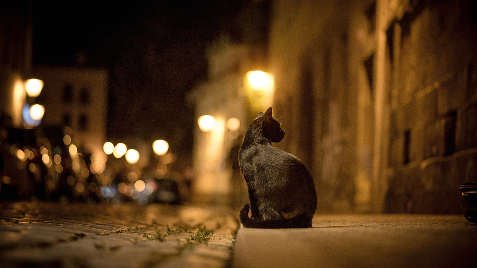 Желаю в зимний вечер, Мира и Добра!