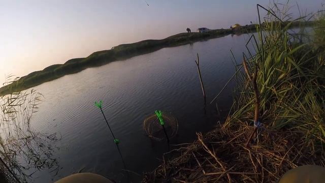 Вываживание зеркального карпа.