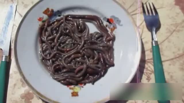 Ем дождевых червей. Кушаю дождевых червей