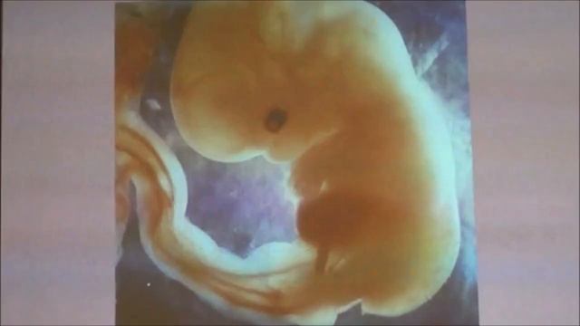 Безопасность семьи и государства