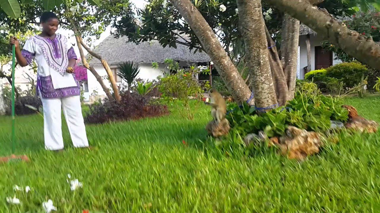 Утро. Раннее утро.