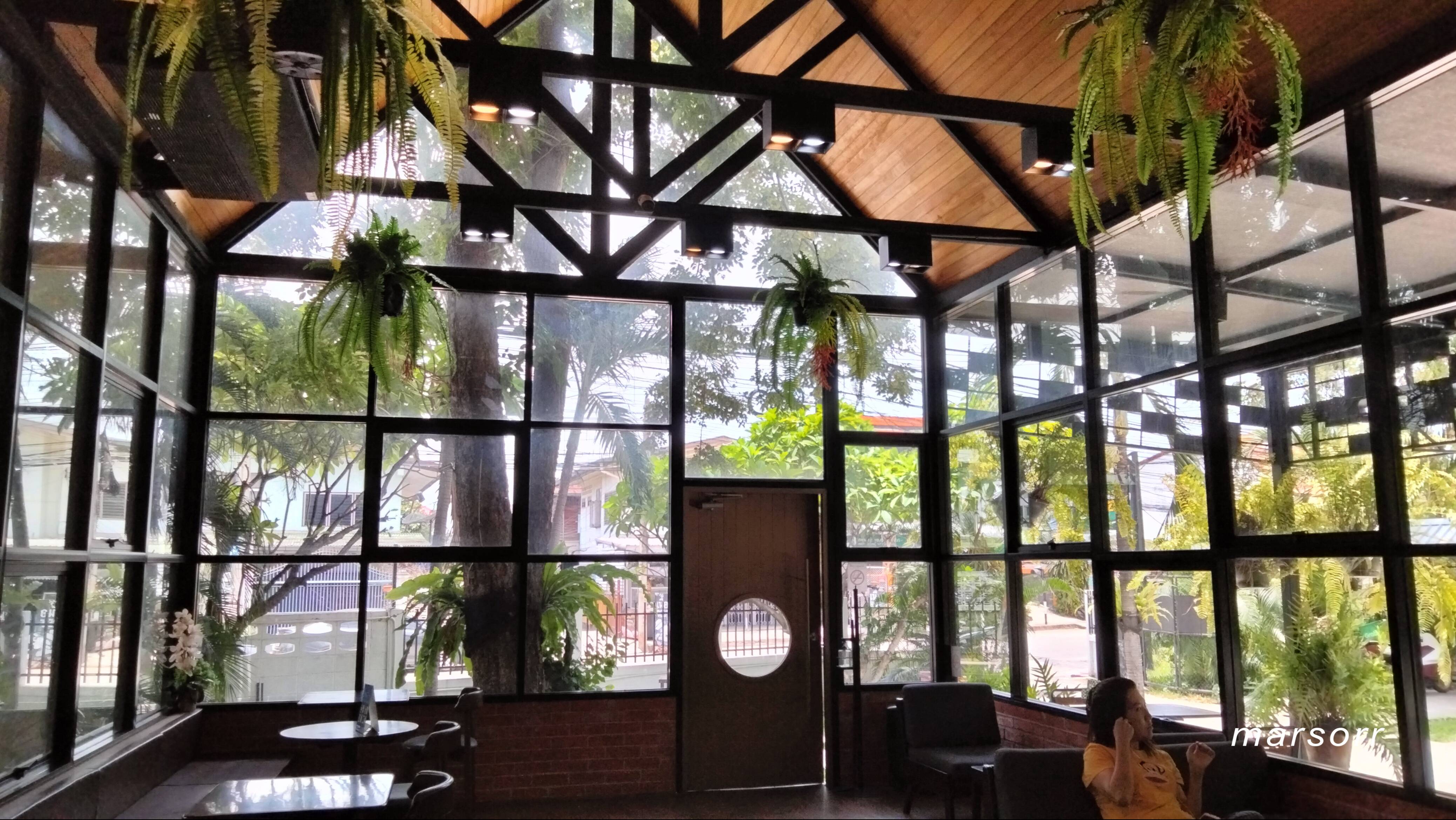 просто кафешки корат โคราช  korat. амазон