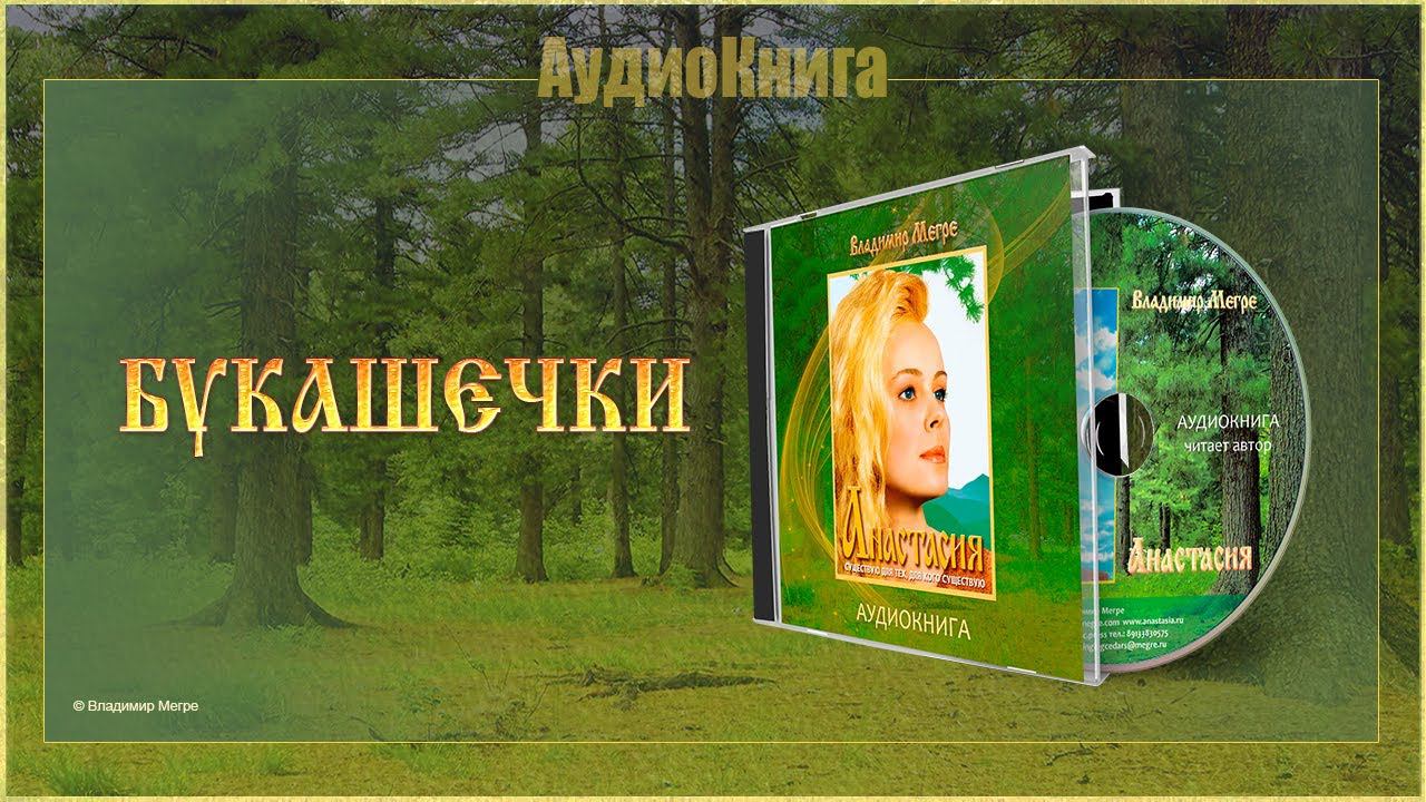 Книга I, глава 24 «БУКАШЕЧКИ»