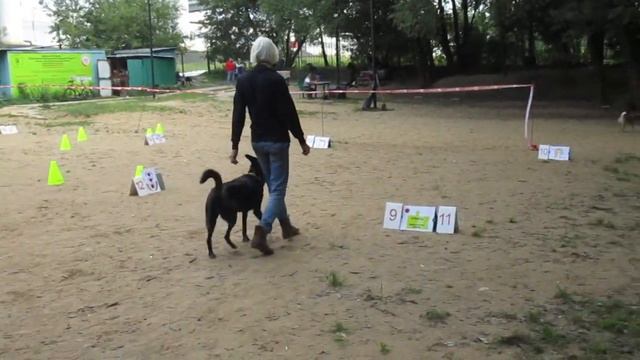 Соревнования
