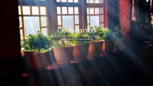 Музыка для отдыха и чтения. Расслабляющая нежная фоновая музыка.