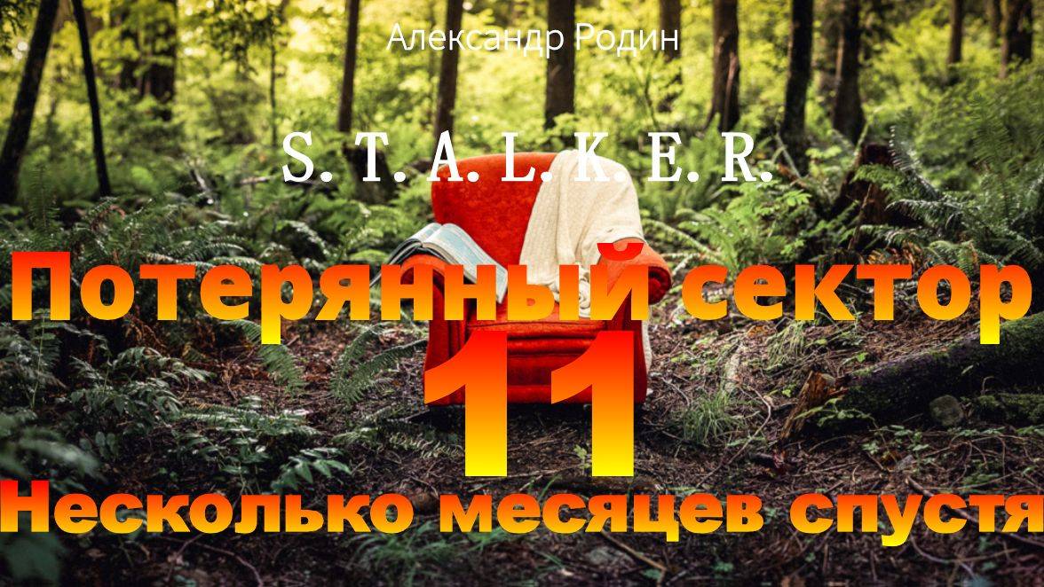 11 Несколько месяцев спустя  #сталкераудиокнига  #сталкер #слушать #аудиокнига #фантастика