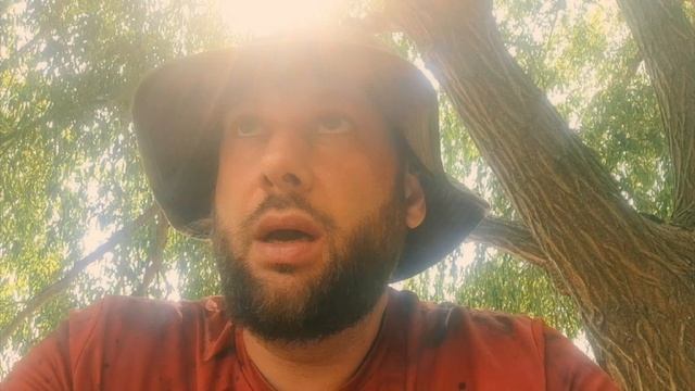 На те же грабли! Глава МВД Колокольцев сообщил о критической нехватке личного состава в полиции.