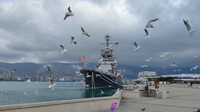 Чайки. Море. Новороссийск