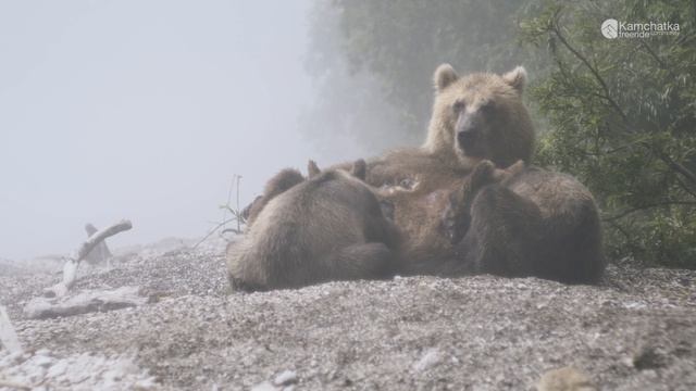 Магия Курильского озера, Камчатский край