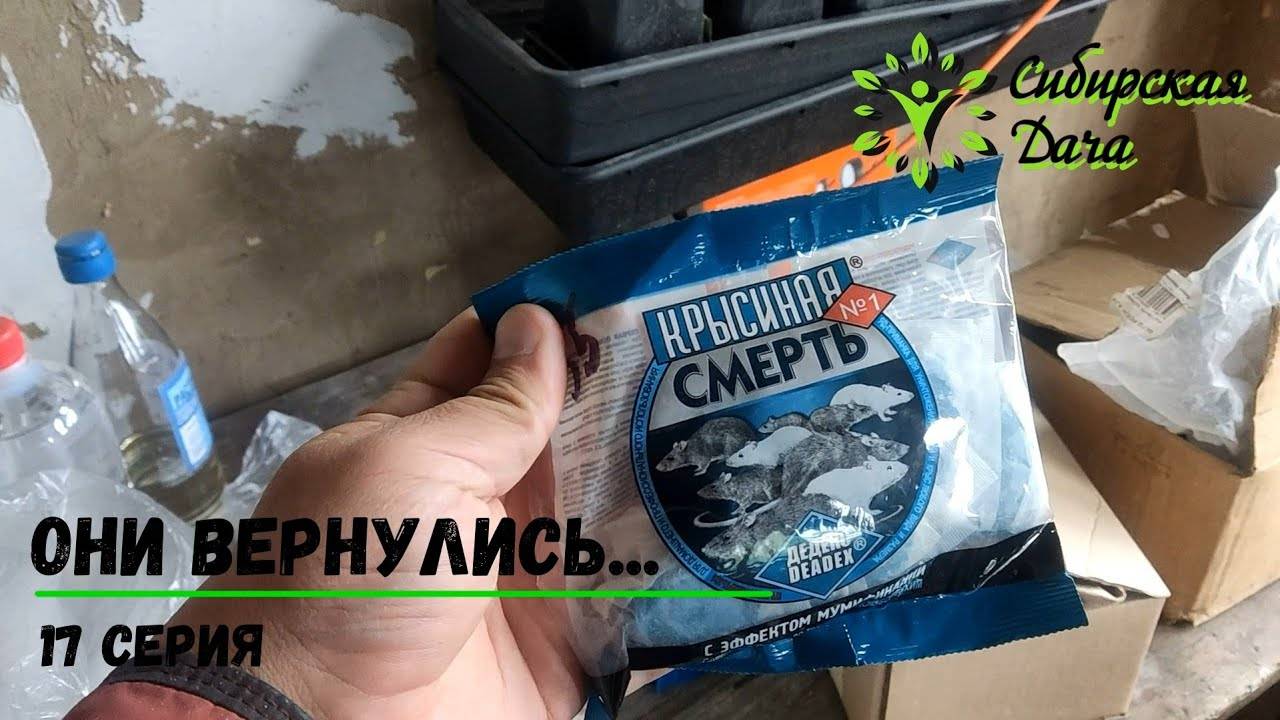 №17. Оплатили дачные взносы и многое другое!